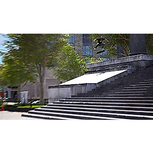 Session: Skate Sim (PS4)