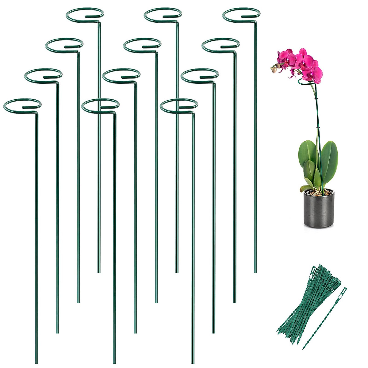 Joyhalo 12 Pack Plant Stakes, 16 Inch Plant Support Stakes, Plant Sticks Support with 24 Twist Ties, Flower Stakes for Plants Peony, Amaryllis, Marigold, Coreopsis, Tomato Seedling, Sapling Etc