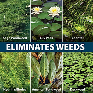 Airmax Wipeout Pond Weed Defense, Herbicide & Aquatic Weed Control, Controls Duckweed & Other Unwanted Submerged & Floating Vegetation, Easy-to-Use & Long Lasting, All-Season Treatment - 4 Ounce