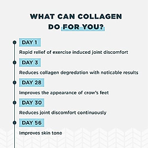 Ancient Nutrition Collagen Powder Protein with Probiotics, Unflavored Multi Collagen Protein with Vitamin C, 45 Servings, Hydrolyzed Collagen Peptides Supports Skin and Nails, Gut Health, 16oz