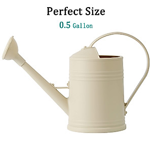 Watering Can for Indoor Plants, Flower Watering Can, Water Can for Plants, Indoor Watering Can with Sprinkler Head 68 oz, 1/2 Gallons