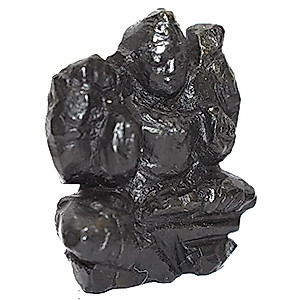 Rudrakshguru Goddess Lakshmi Idol Carved on Natural Sudarshan Shaligram