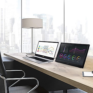 acer PM1-15.6" Monitor Display 1920x1080 60 Hz 16:9 15ms GTG 250 Nit (Renewed)