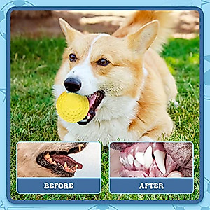 TAUCHGOE Interactive Dog Balls, Dog Toys for Boredom and Stimulating, Dog Toys for Aggressive Chewers, Safer for Dog's Mouths, for Large Medium Small Puppy, Training Catch & Fetch