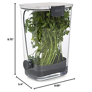 Progressive International PKS-930 BPA-Free Plastic ProKeeper Herb Keeper with Removable Silicone Drain Plug, 1 Piece, White