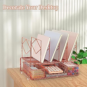 LEKETREE Rose Gold Desk Organizer with Drawers, Office Supplies for Women, Desk Organization with 5 Upright Sections, Desk Accessories & Workspace Organizers