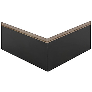 ArtToFrames 11x14 Inch Multi Picture Frame, This 0.94 Inch Custom Wood Poster Frame is Other - Comes with Foam Backing 3/16 inch and Regular Glass (FBPLE398402-11x14)