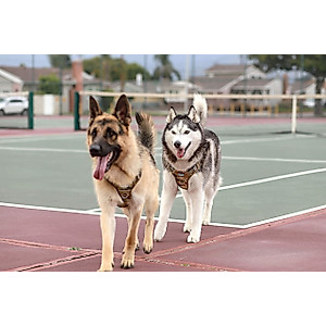 AUROTH Tactical Dog Harness for Large Dogs No Pull Adjustable Reflective K9 Working Training Easy Control Pet Vest Military Service Harnesses Woodland Camo L