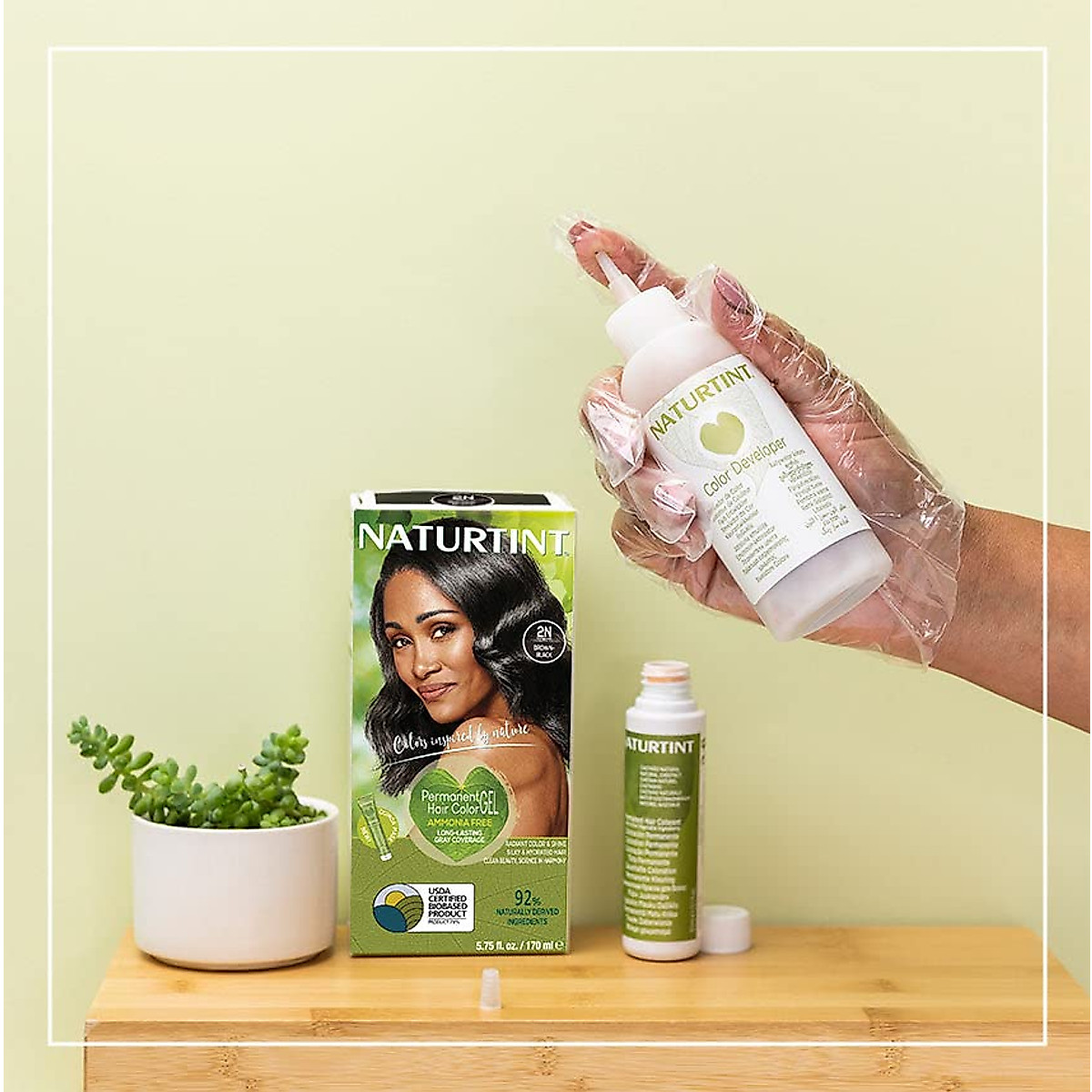 Naturtint Hr Clr Women 2N Brown Black, 5.98 oz
