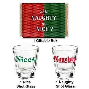 2 Shot Glasses - Christmas Naughty & Nice Novelty Glass Set - 1.5 oz Green Red Fun Gift Wrapped Boxed - Unique Fun Funny Gag Present For Him Her - Liquor Drinking Game