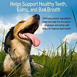 Spoonables Dog Peanut Butter - Dog Breath Freshener - Anti Plaque, Tartar, & Bad Breath - Dog Dental Treats for Better Oral Care and Gum Health - Dental (8.46oz)