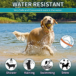 4 Pack Flea Collar for Dogs, Dog Flea and Tick Collar 8 Months Flea and Tick Treatment Prevention for Dogs, Waterproof Adjustable Dog Flea Collar Natural Tick and Flea Collar for Dogs (Oragne&Green)