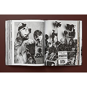 The Golden Retriever Photographic Society