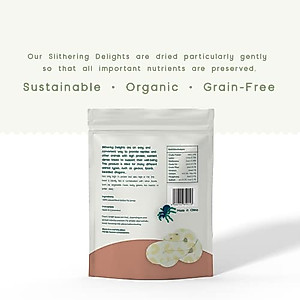 Slithering Delights Dried Mealworms for Reptiles - 3.5 oz lizard food for Bearded Dragon & Reptile Food Treats for Pet Lizard, Gecko, Tropical Fish and Birds, Turtles - Dehydrated High Protein content