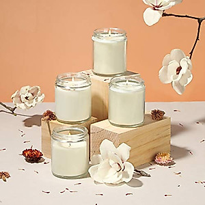 12 Pack, 8 OZ Thick Glass Jars with Lids, Clear Round Candle Jars with 12 Metal Lids & 12 Plastic Lids - Empty Food Storage Containers, Canning Jar For Spice, Powder, Liquid, Sample - Dishwasher Safe