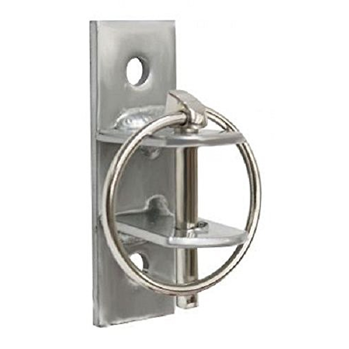 Showman 2 Pack Heavy Duty Steel Water Feed Bucket Bracket Holder Screws 2 Barn Wall Locking PIN