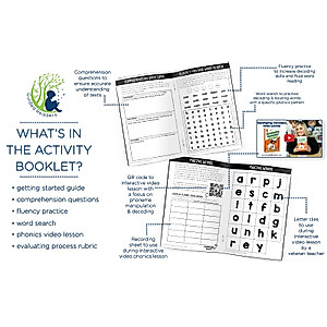 Decodable Readers: 15 Long Vowel Teams Phonics Books for Beginning Readers Ages 4-7 Developing Decoders (Set 8)