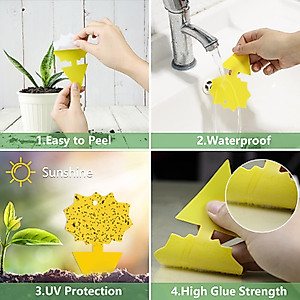 XNFUD 24 Pcs Sticky Traps for Fruit Fly,Whitefly,Fungus Gnat,Mosquito and Bug,Yellow Sticky Insect Catcher Traps for Indoor/Outdoor,Insert/Hang,Extremely Sticky Fly Trap,Non-Toxic,Odorless,2 Shapes…