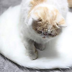 Electric Heated Blanket,Electric Blanket, Hand Warmer, Small Pet Cats Plush Heating Mat Heated Blanket Constant Temperature Waterproof Anti-Creep USB Interface(Wei?)