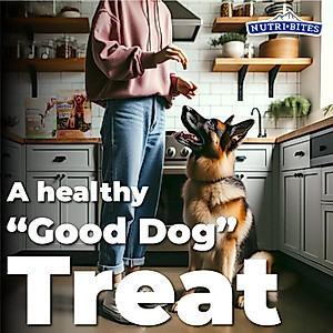 Nutri Bites Freeze Dried Salmon Dog Food 2-Pack: 28 oz Total Weight - Single Ingredient: Wild Salmon - Protein & Omega 3 Pet Supplement - Use as Kibble Topper or Dog Treats for Dogs - Made in Canada