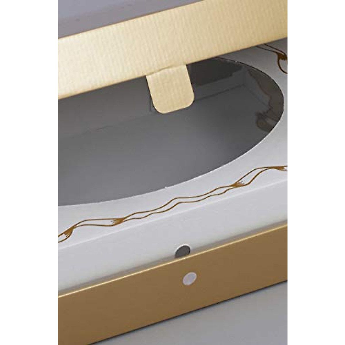 Foster-Stephens Extra-Large Gold Wedding Dress Preservation Kit | Stylish Wedding Gown Garment Storage Box | Closet Storage Organizer for Quilts, Gowns, Dresses, Family Heirlooms (Gold, Extra-Large)