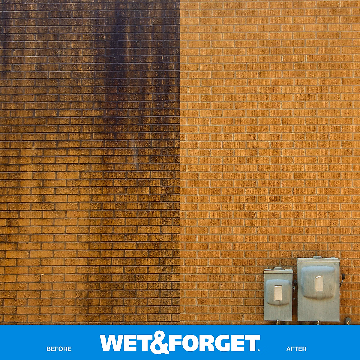 Wet & Forget Moss, Mold, Mildew, & Algae Stain Remover Multi-Surface Outdoor Cleaner Concentrate, Original, 128 Fluid Ounces