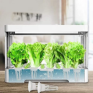 yeshine 50PCS Grow Baskets Plant Pod Replacement for Hydroponic Growing System Seed Pods Baskets for Indoor Herb Garden