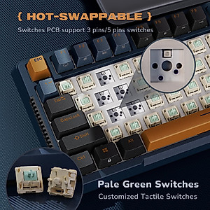 RK ROYAL KLUDGE H81 Wireless Gaming Keyboard, Knob Control Triple Mode BT5.1/2.4Ghz/USB-C 75% Mechanical Keyboard Gasket Mount with RGB Backlit 3750mAH Battery, Hot Swappable Pale Green Switches