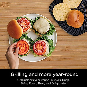 Ninja EG201 Foodi 6-in-1 Indoor Grill and 4-Quart Air Fryer (Renewed)