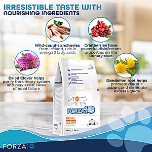 Forza10 Active Kidney Renal Diet Dry Cat Food for Adult Cats, Kidney Care Cat Food for Heart and Kidney Problems, Wild Caught Anchovy Flavor, 2 Pound Bag