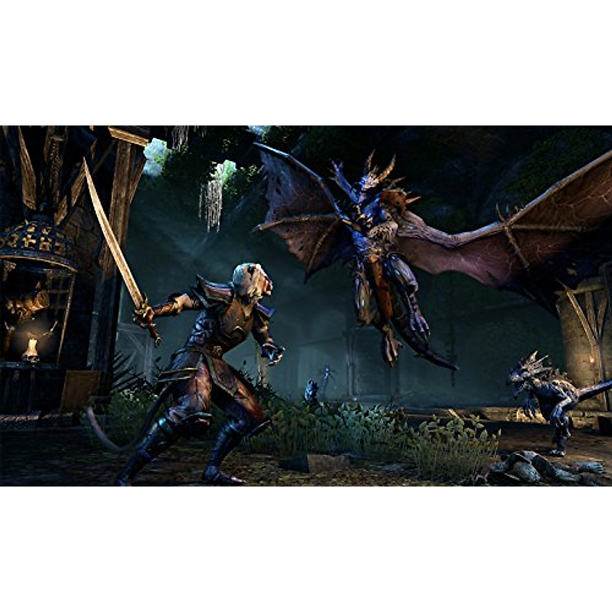 The Elder Scrolls Online Gold Edition (Xbox One)