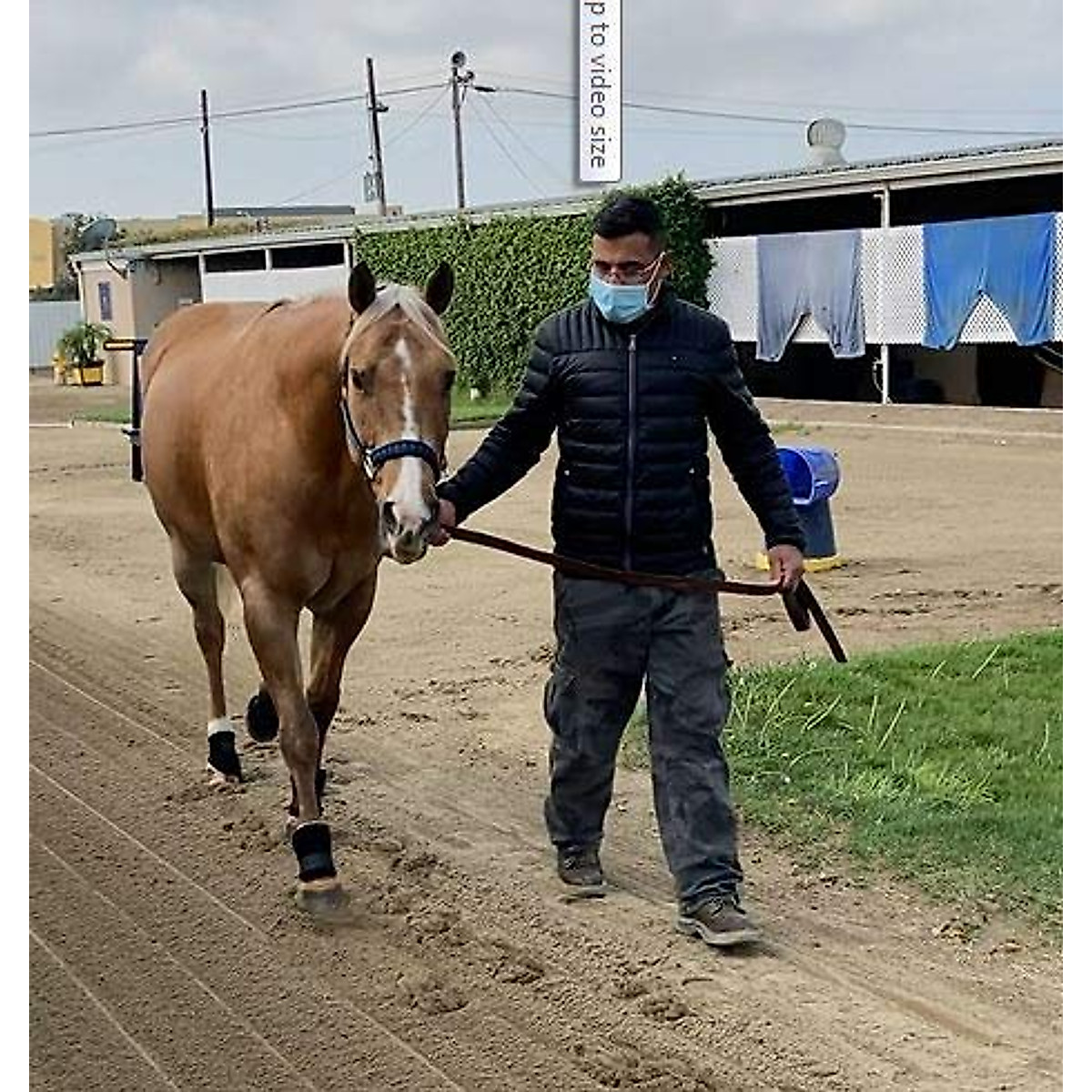 Horse Bedsore Boots with Soft Synthetic Sheepskin Lining, Providing Comfort and Protection Against Pressure sores. Aids in Healing. Veterinarian Approved.