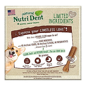 Nylabone Nutri Dent Dog Dental Treats - Natural Dog Teeth Cleaning & Breath Freshener - Dental Treats for Dogs - Filet Mignon Flavor, Medium (40 Count)