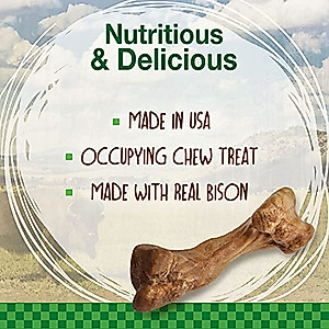 Nylabone Healthy Edibles WILD Natural Long-Lasting Dog Treats - Dog Bone Treats - Bison Flavor, Medium (2 Count)