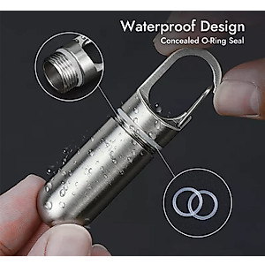 Pill Holder with Carabiner Style Clip, Stainless Steel Pill Fob Keychain (Standard)