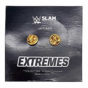 WWE United States Champion Pin- Special Edition American Flag Slam Crate Collectible Pin- Authentic Raw WWE Extremes Championship Belt Pin
