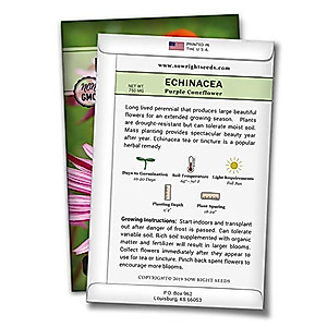 Sow Right Seeds - Purple Coneflower/Echinacea Flower Seeds for Planting - Non-GMO Heirloom Seed - Full Instructions to Plant an Herbal Tea Garden - Great Gardening Gift (1)…