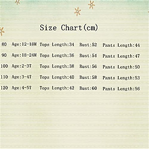 Toddler Kids Baby Girl Easter Outfit Bunny Print Short Sleeve T-Shirt Tops Leopard Flare Pants 2pcs Summer Clothes (Purple,18-24M)