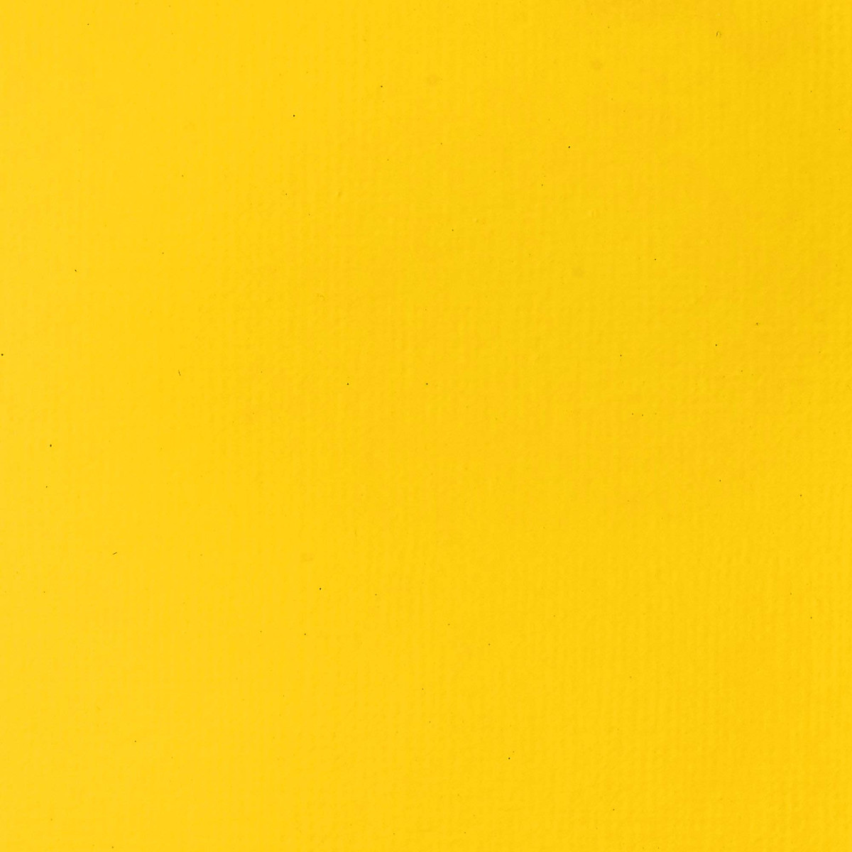 Liquitex BASICS Acrylic Paint, 250ml (8.5-oz) Tube, Cadmium Yellow Light Hue