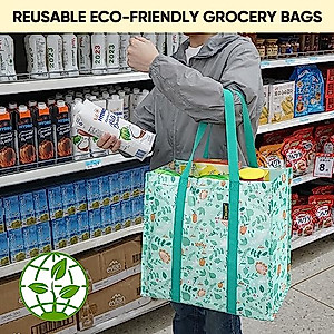 BALEINE 4 PK Grocery Bags Reusable Shopping Bags with Reinforced Bottom, Heavy Duty Foldable Tote Bags (Spring Stroll)