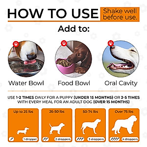 Glucosamine for Dogs ✿ Dog Joint Supplement ✿ Hip and Joint Supplement Dogs ✿ Glucosamine Chondroitin for Dogs ✿ Liquid Glucosamine for Dogs ✿ Glucosamine Chondroitin Dogs ✿ Bacon Flavor ✿ 2 Oz