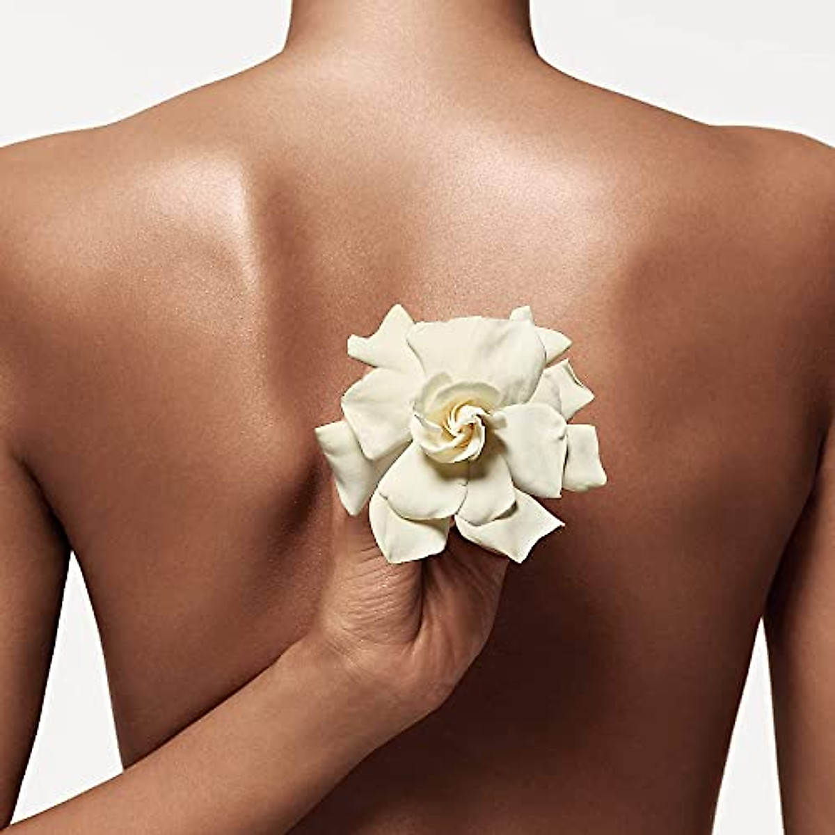 Donna Karan Cashmere Mist Eau de Parfum Perfume Spray For Women, 1.7 Fl. Oz.