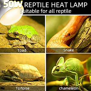 HETOO (Red/White Random Color Heat Lamp, Reptile Heat Lamp Bulbs, Full Spectrum Basking Spot Heat Light Bulbs for Reptiles & Amphibians Bearded Dragon Turtle Lizard Tank Accessories, E26 Base, 50W