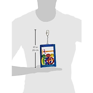 Prevue Pet Products Physical & Mental Bodacious Bites Abacus Bird Toy 60954