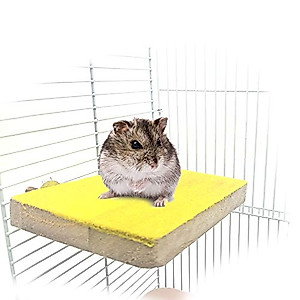 Colorful Bird Perch Stand Platform Natural Wood Playground Paw Grinding Clean for Pet Parrot Budgies Parakeet Cockatiels Conure Lovebirds Rat Mouse Cage Accessories Exercise Toys (Random)