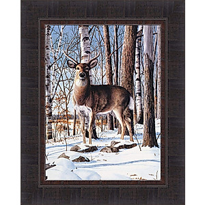 Simply Curious by Kevin Daniel 17x21 Whitetail Deer Buck Snow Trees Framed Art Print Wall Décor Picture
