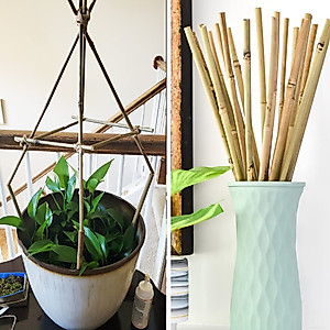 50Pcs Garden Stakes, 0.32”/16 Inch Bamboo Sticks，Natural Plant Stakes for Indoor and Outdoor Plants，Poles for Tomatoes, Beans, Potted Plants