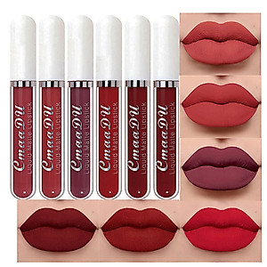 evpct CmaaDu 6Pcs Lipstick Matte Liquid Lipstick Lipgloss Set for Women labiales mate 24 horas originales matte larga duracion Red 24 Hour Lipstick