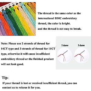 Wingkin Stamped Cross Stitch Kits Husky Dog 11CT Advanced Pre-Printed Cross-Stitch Pattern Embroidery DIY Beginner Adults Kids Home Decoration （40x50cm）