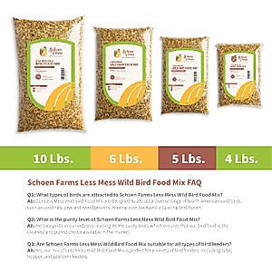 Gourmet Less Mess Wild Bird Food Mix (6 LBS) (No Mess) Blend for Cardinals, Chickadees, Nuthatches, Woodpeckers and Songbirds